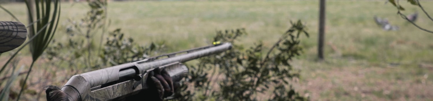 Rayonier Hunting | Learn More